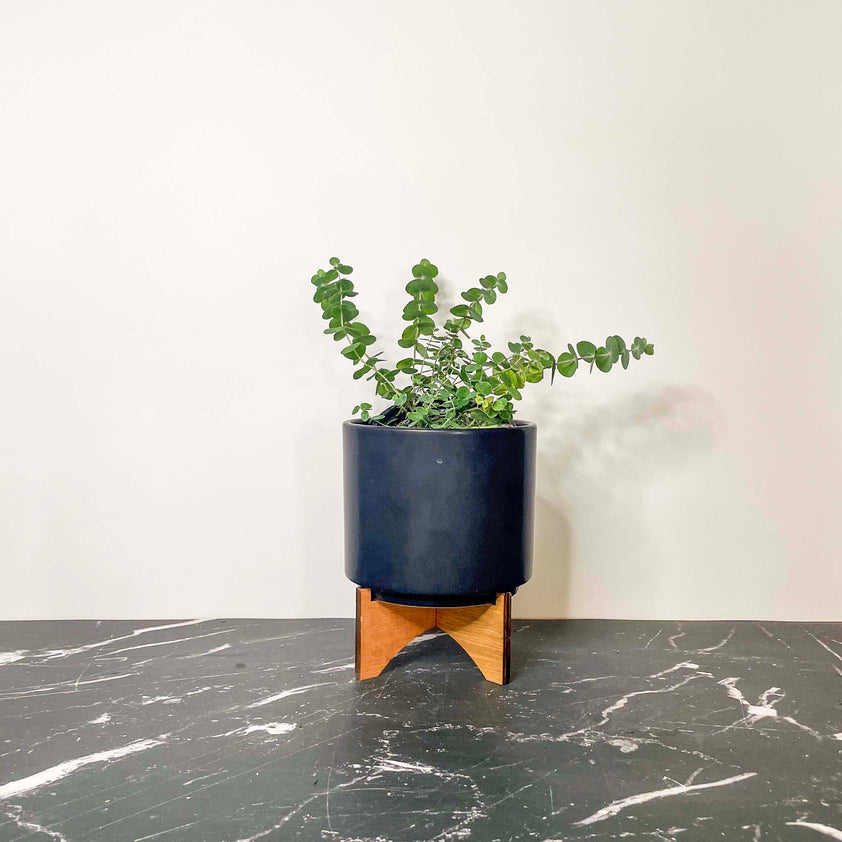 Magic Valley Gardens