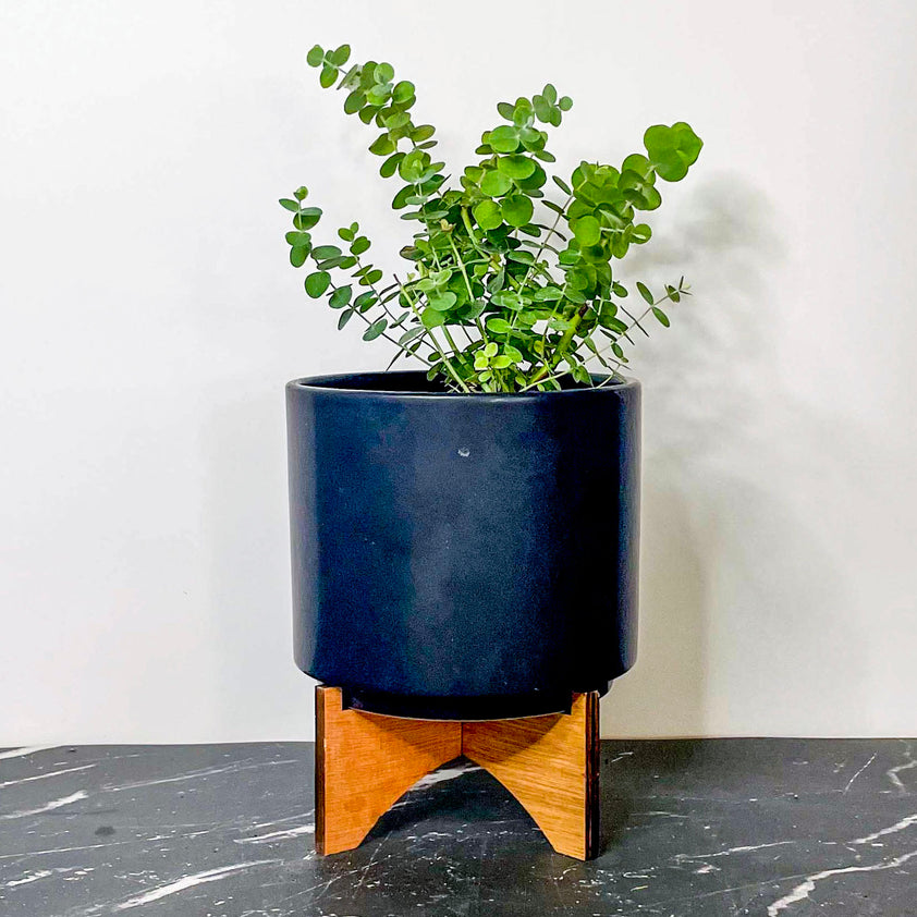 Magic Valley Gardens